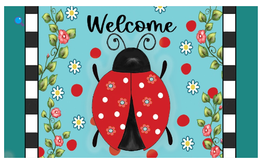 Ladybug Check-Floor Mat – Andrea's Schnuck Store